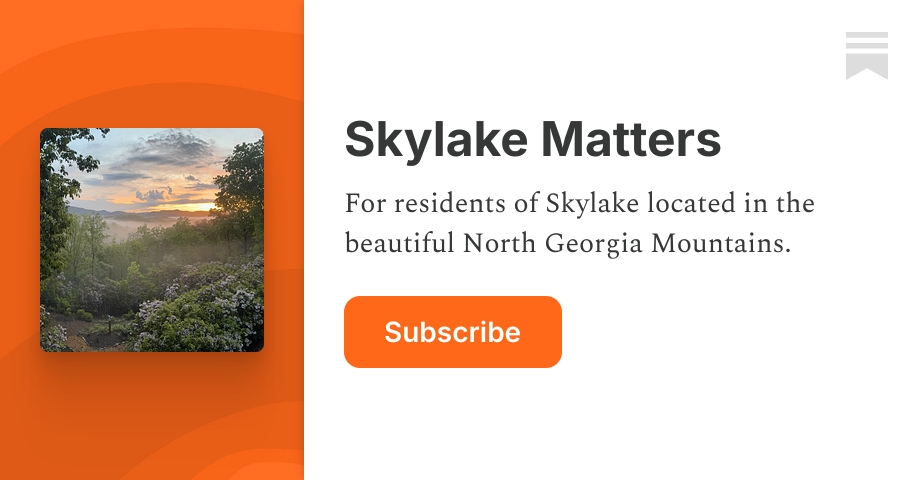 Skylake Matters | EJ Moosa | Substack