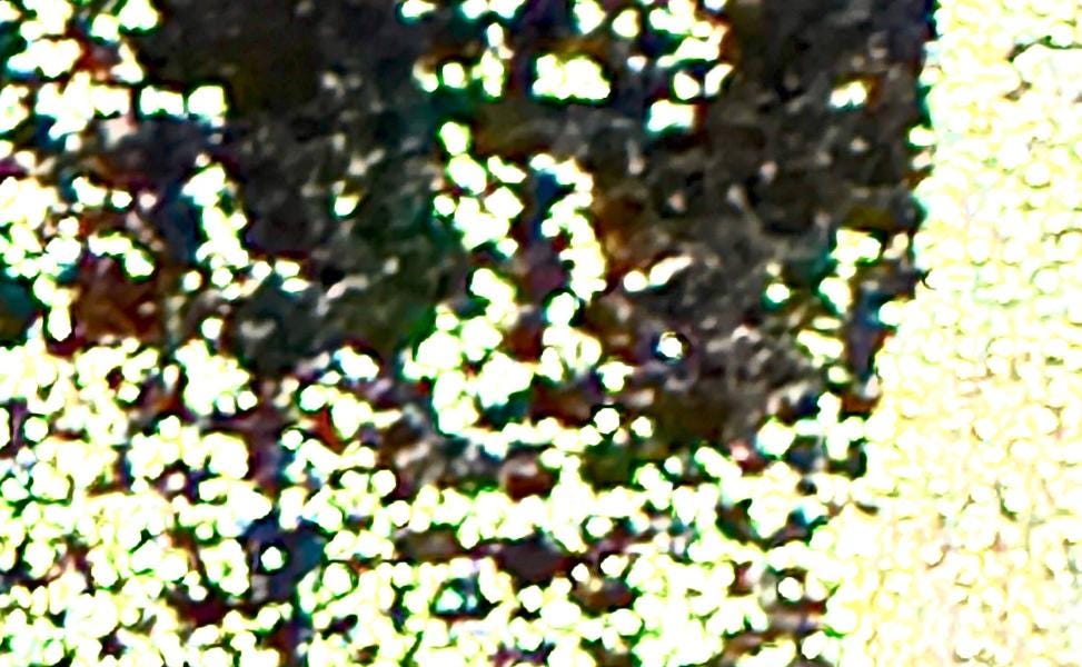 Is ‘being ordinary’ on anyone's New Year’s Resolution list?