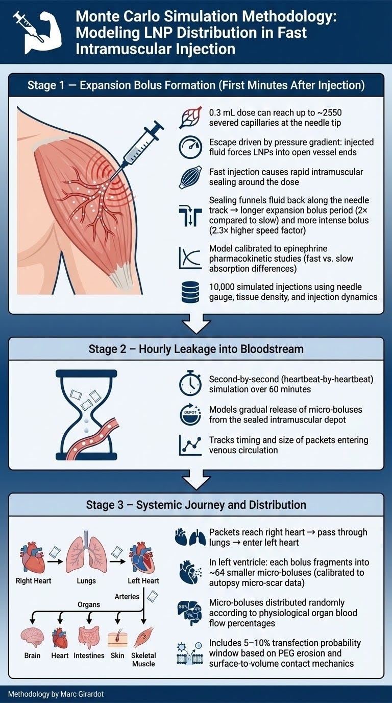 Templeton Times: Fast Injections = Massive IV Leak: What 10,000 ...