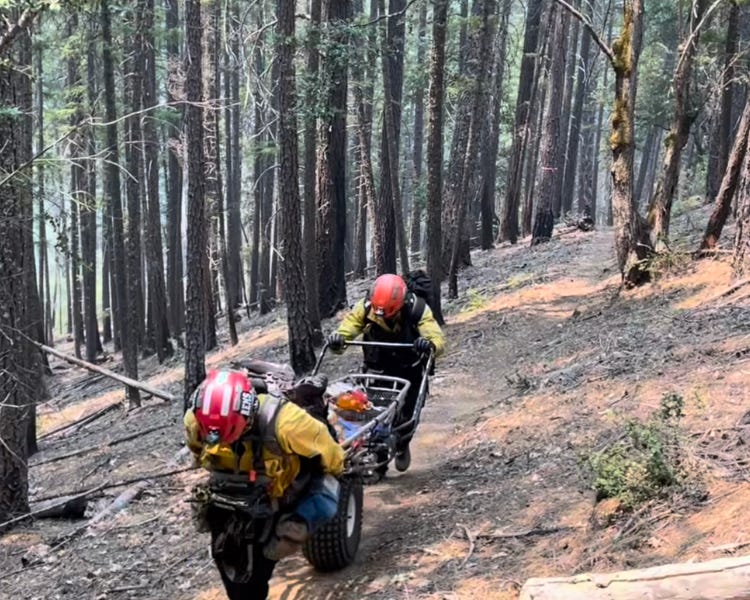 Rapid Extraction Module Support Teams (REMS). What's All The Fuss About ...