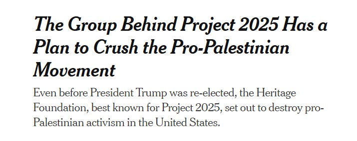 PROJECT 2025 REPUBLICAN PLAN TO DEPORT, DEFUND, SUE, FIRE AND EXPEL ...