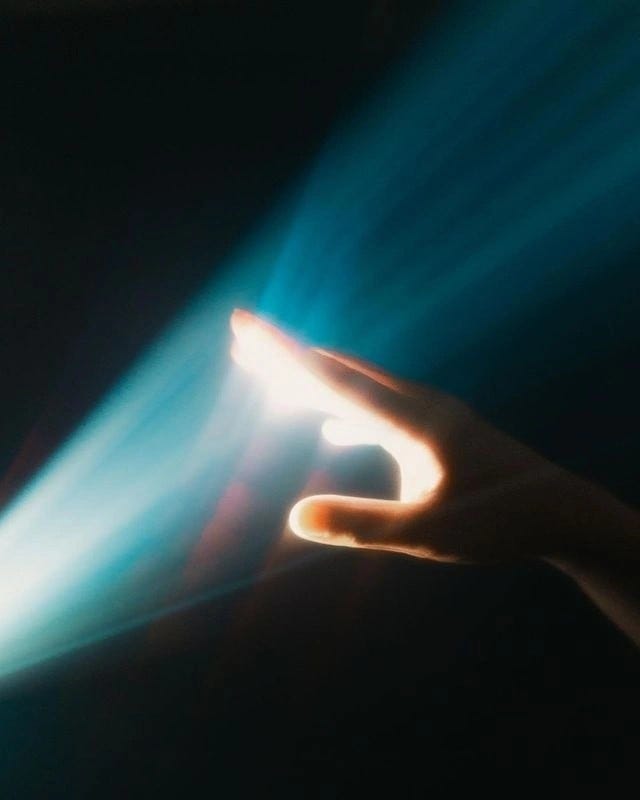What is 'Light' in Light Forest (part 1) - by Dev Lewis
