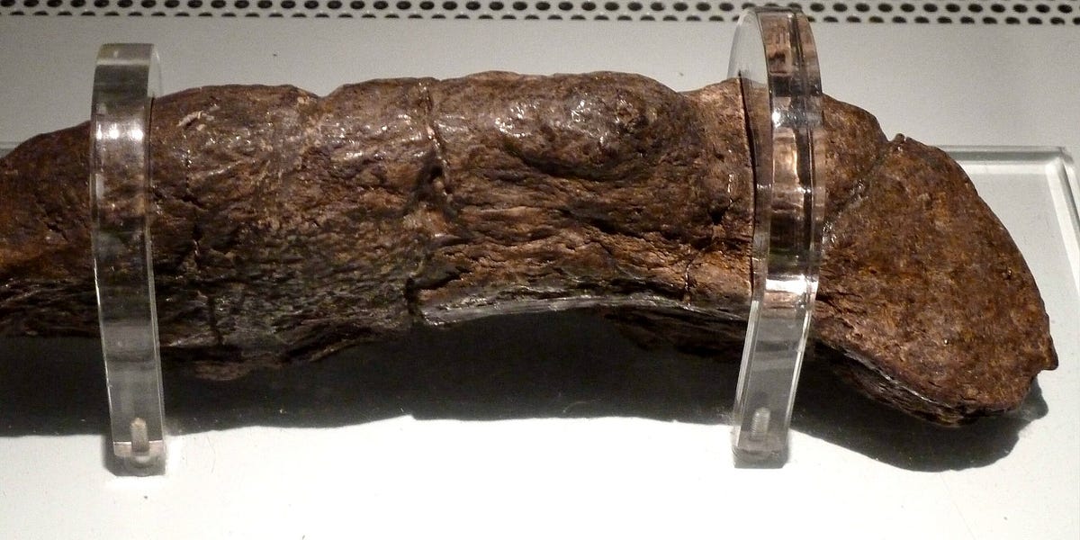 The Ghosts of Meals Past: What We’ve Learned from Fossilized Poop