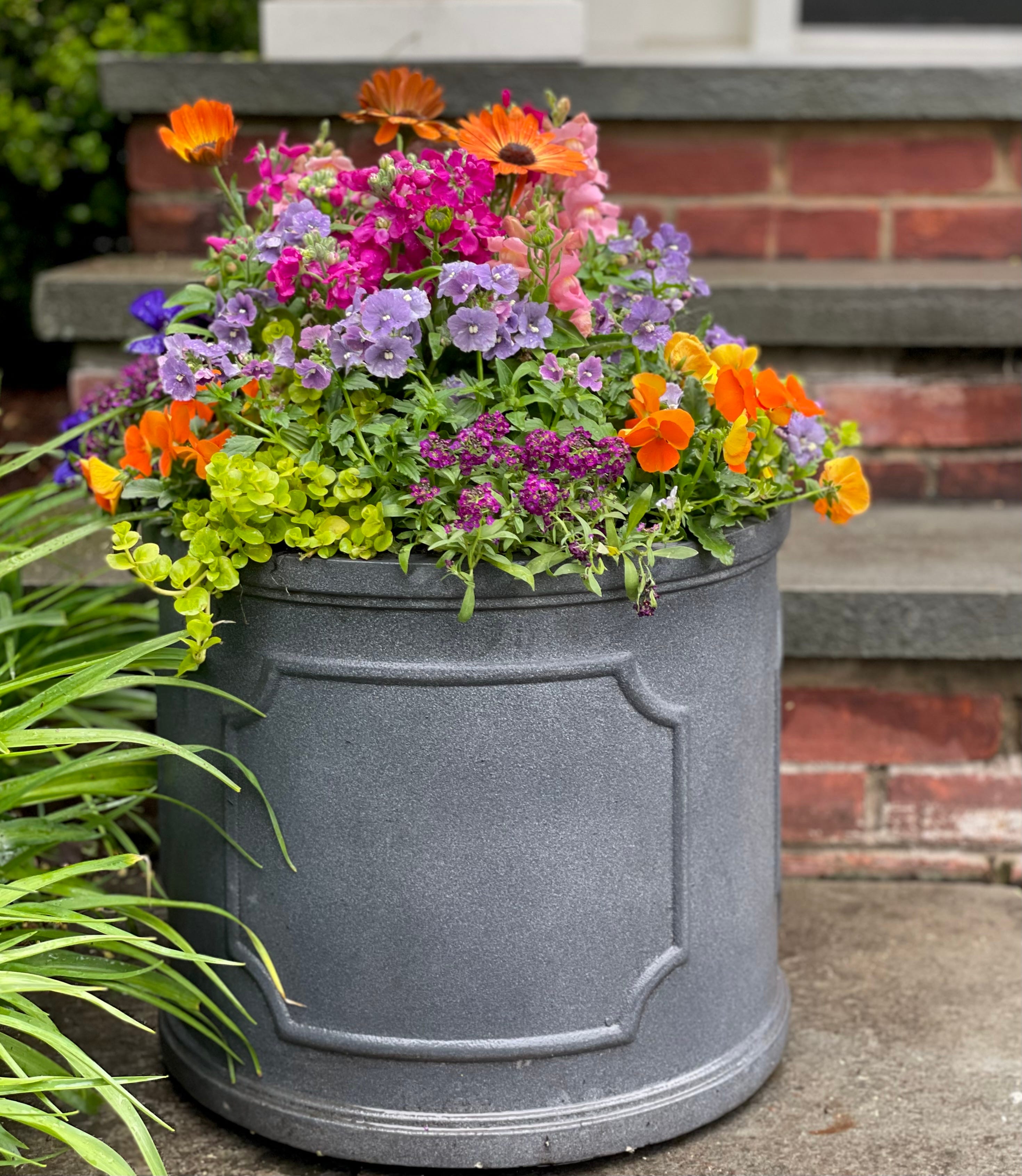 The Spring Garden Reset: 7 Steps to a Fresh Start