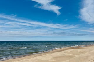 Reading & Eating | Shauna Niequist | Substack