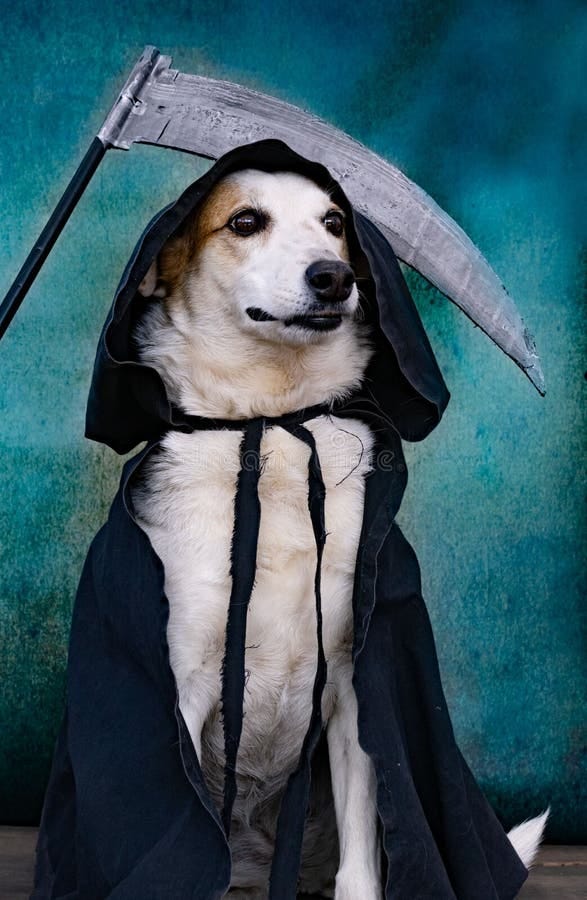 A Dying Dog and a Visit From Death - by Edwin Leap