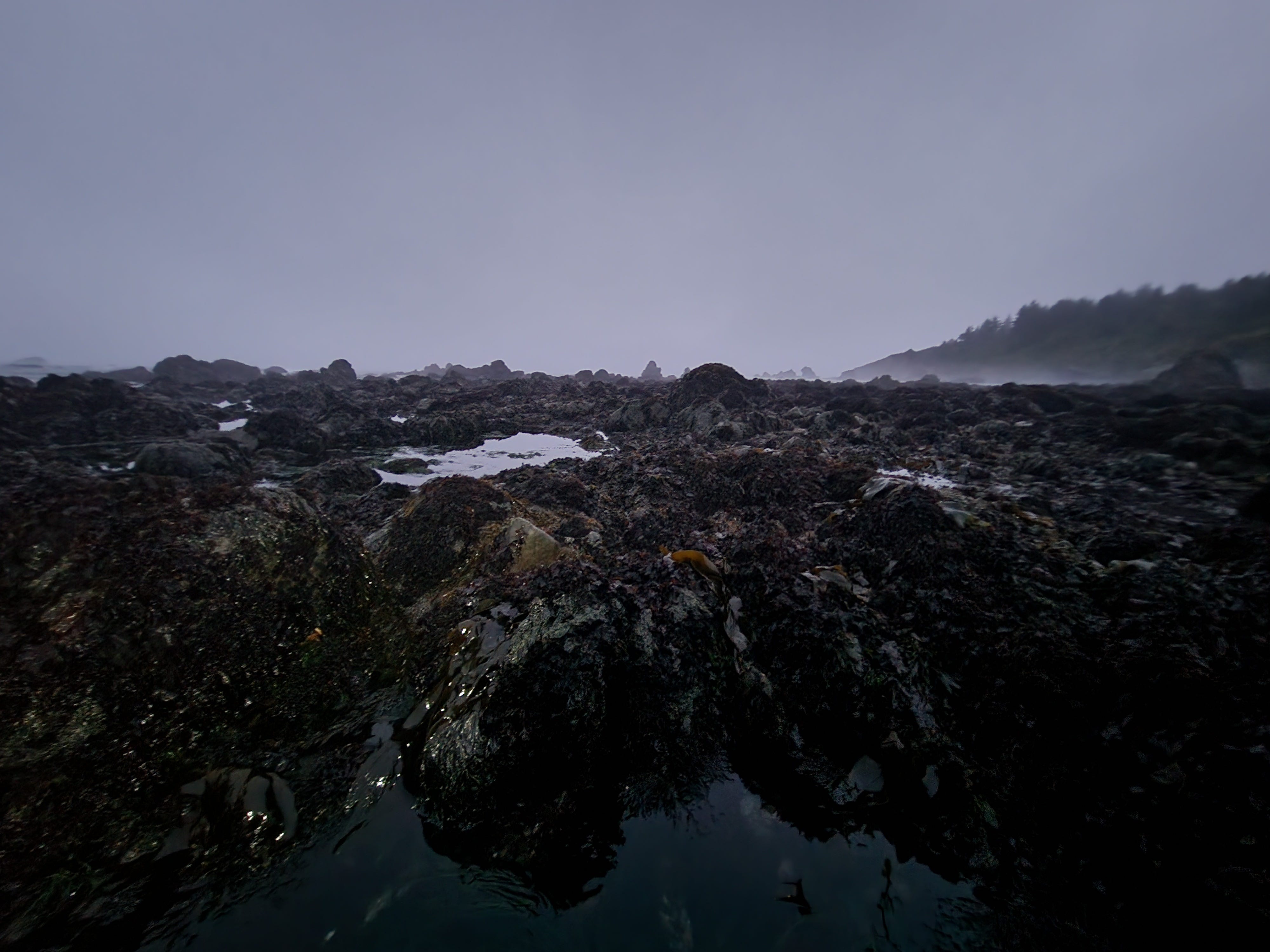 Into the Dark Tide - by Luan Roberts - OnlySlugs