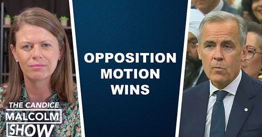 Juno News | Candice Malcolm | Substack