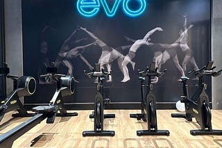 THE BRIEF | Maya Plentz | Substack