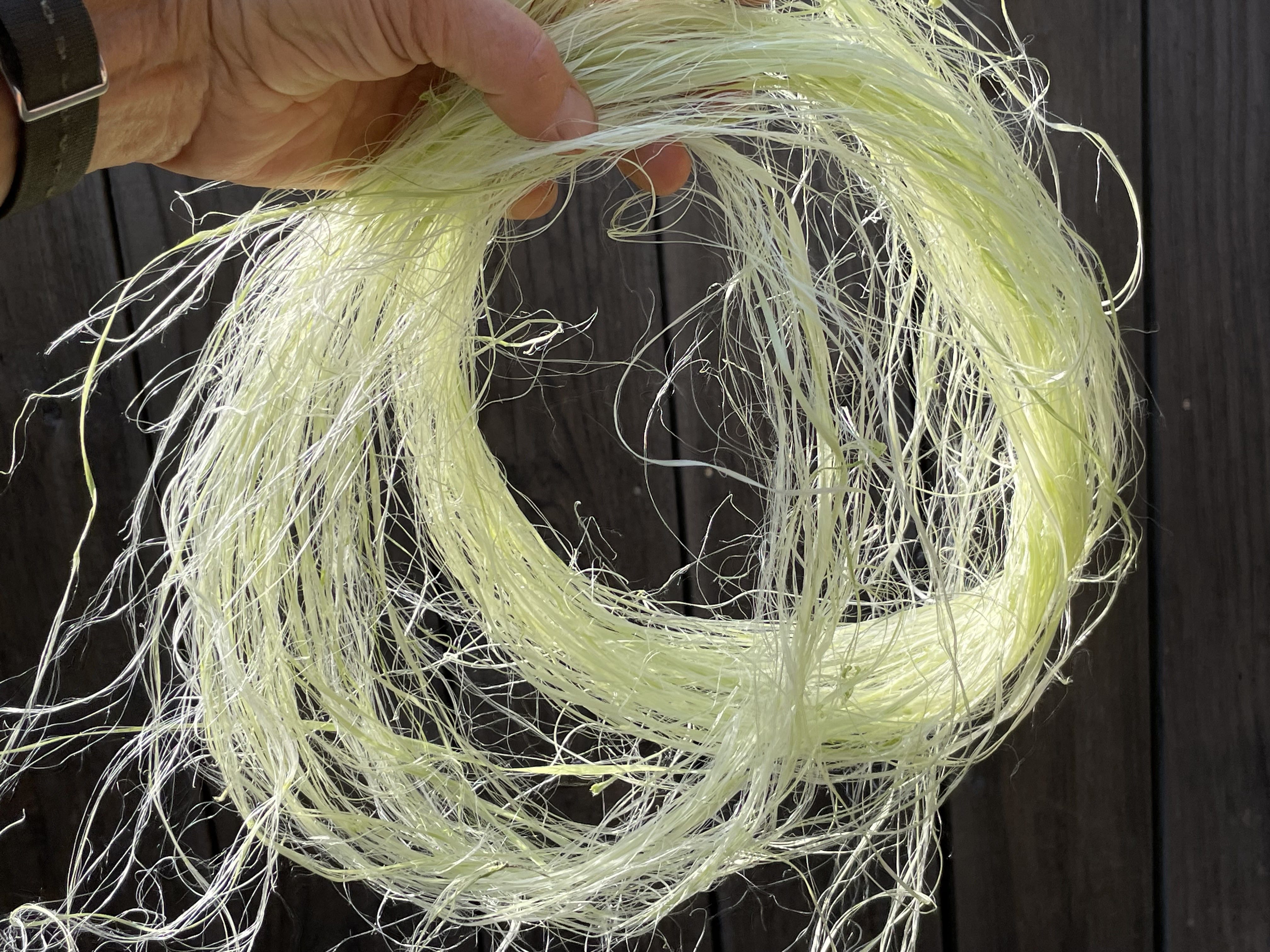 milkweed to the rescue - by Sarah C Swett - The Gusset