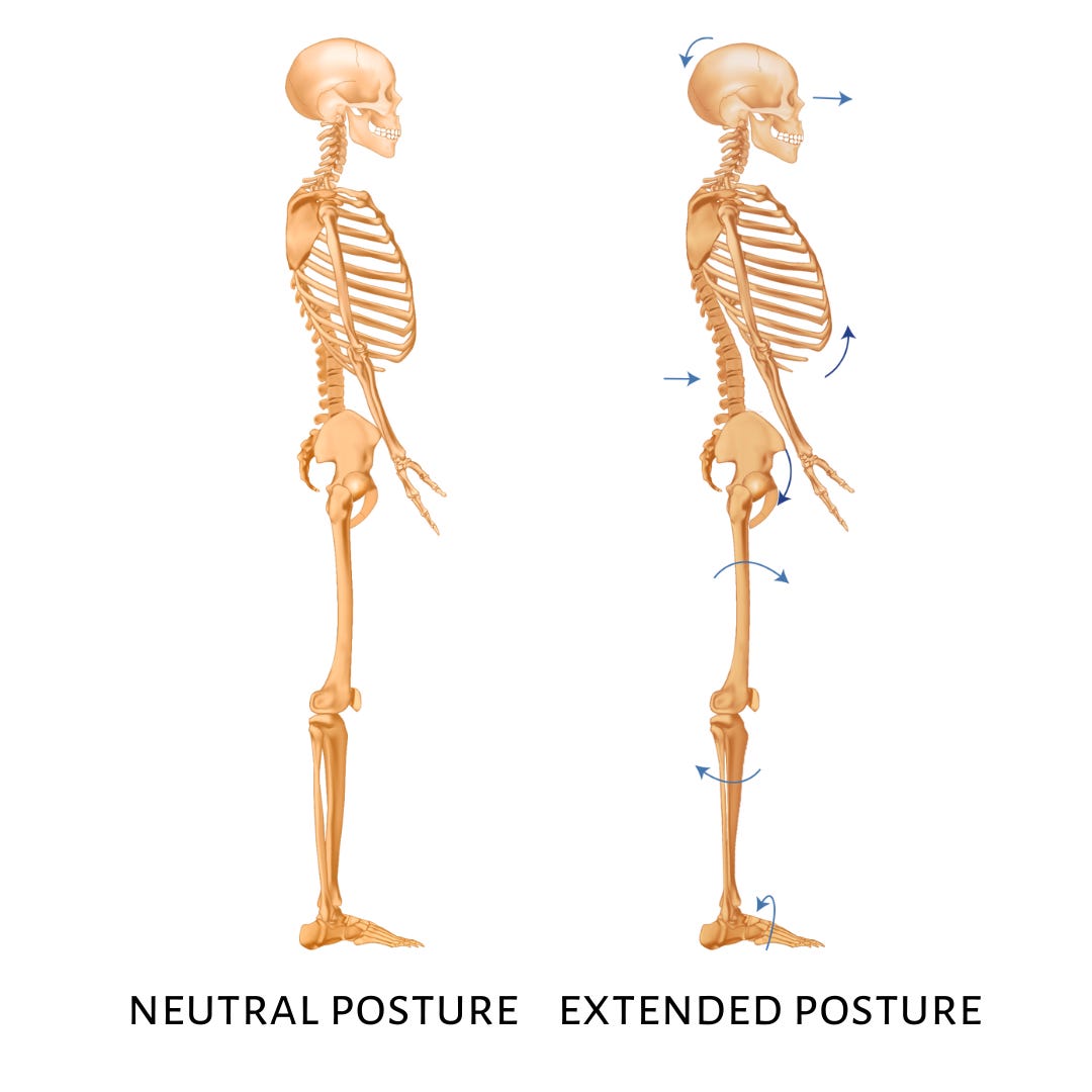 Why "Good" Posture...Is Bad For You - by Aleena Kanner