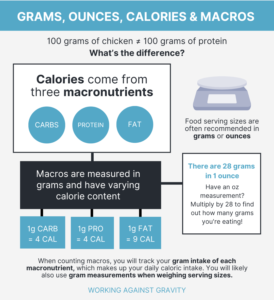 The Truth About Weighing Your Food - by WAG Nutrition