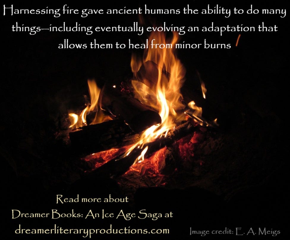 Harnessing fire gave ancient humans the ability to do many things ...