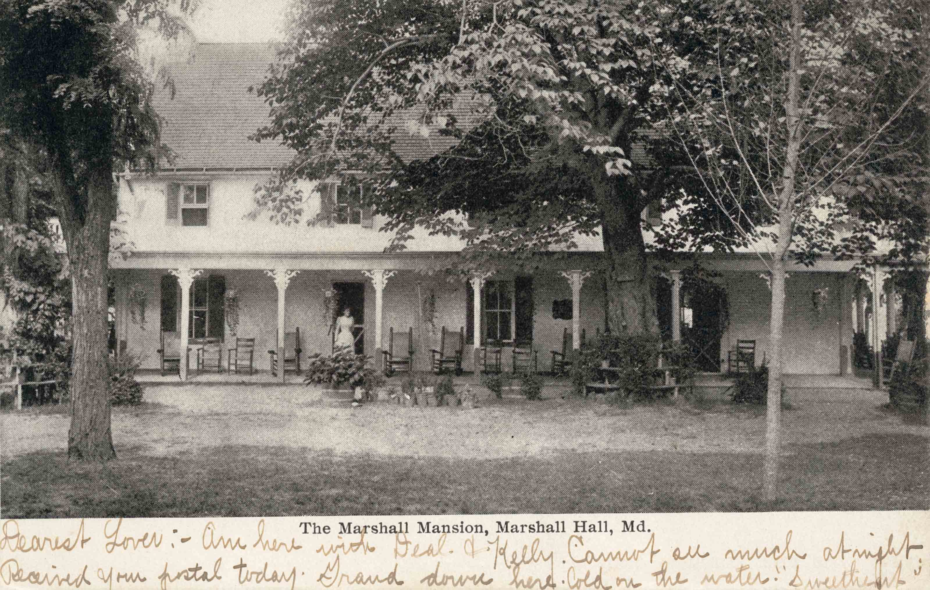 What Happened to Marshall Hall? - by John DeFerrari
