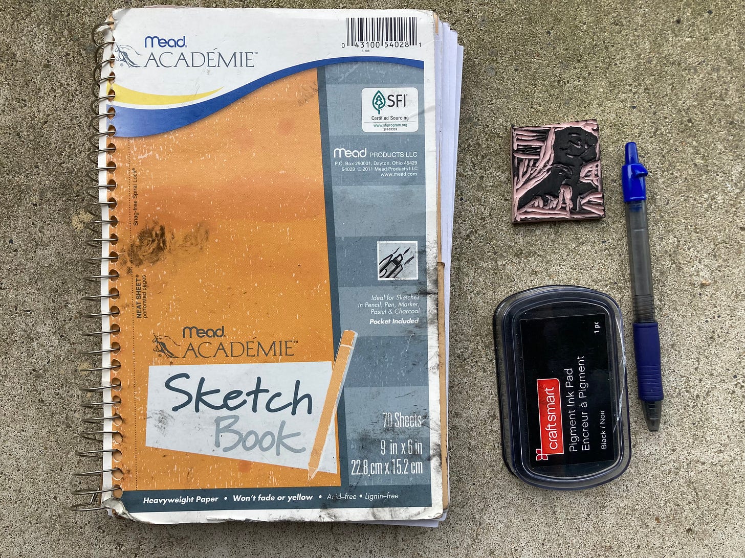 A Beginner’s Guide to Letterboxing - by Carissa Pluta