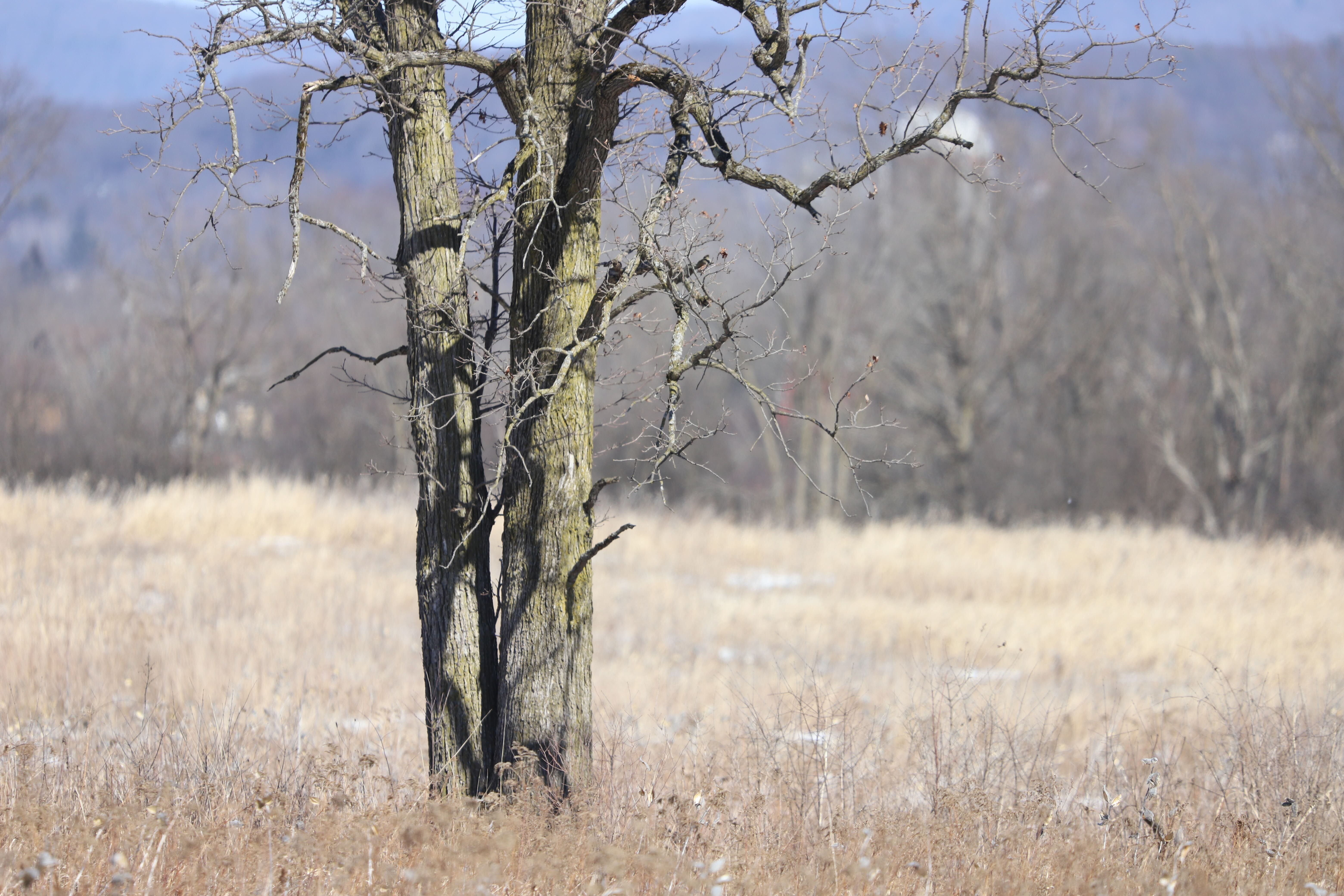 Alexandra Fasulo (@alexandrafasulo): ""The people out in rural America ...