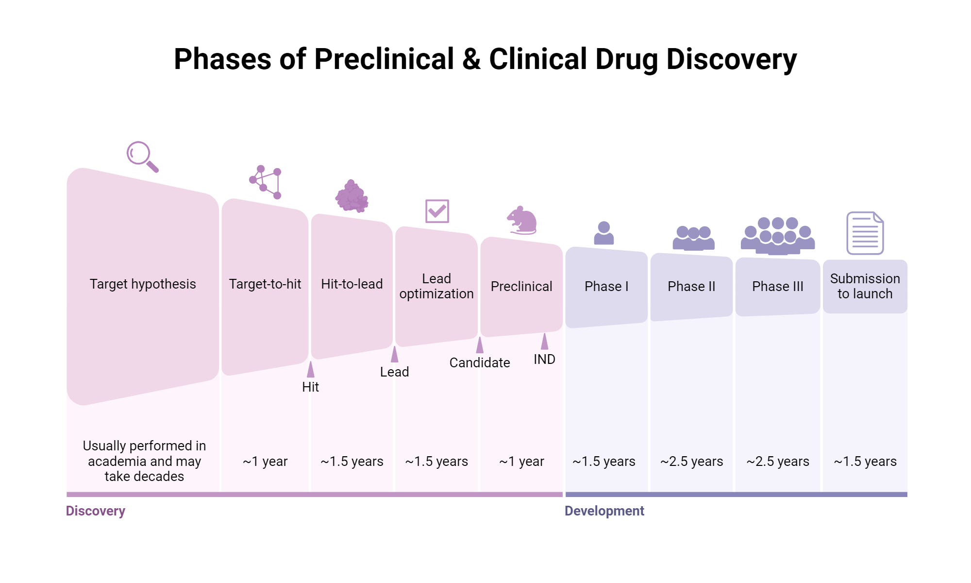 Hit to Lead Optimization in Drug Discovery: From Early Hits to High ...