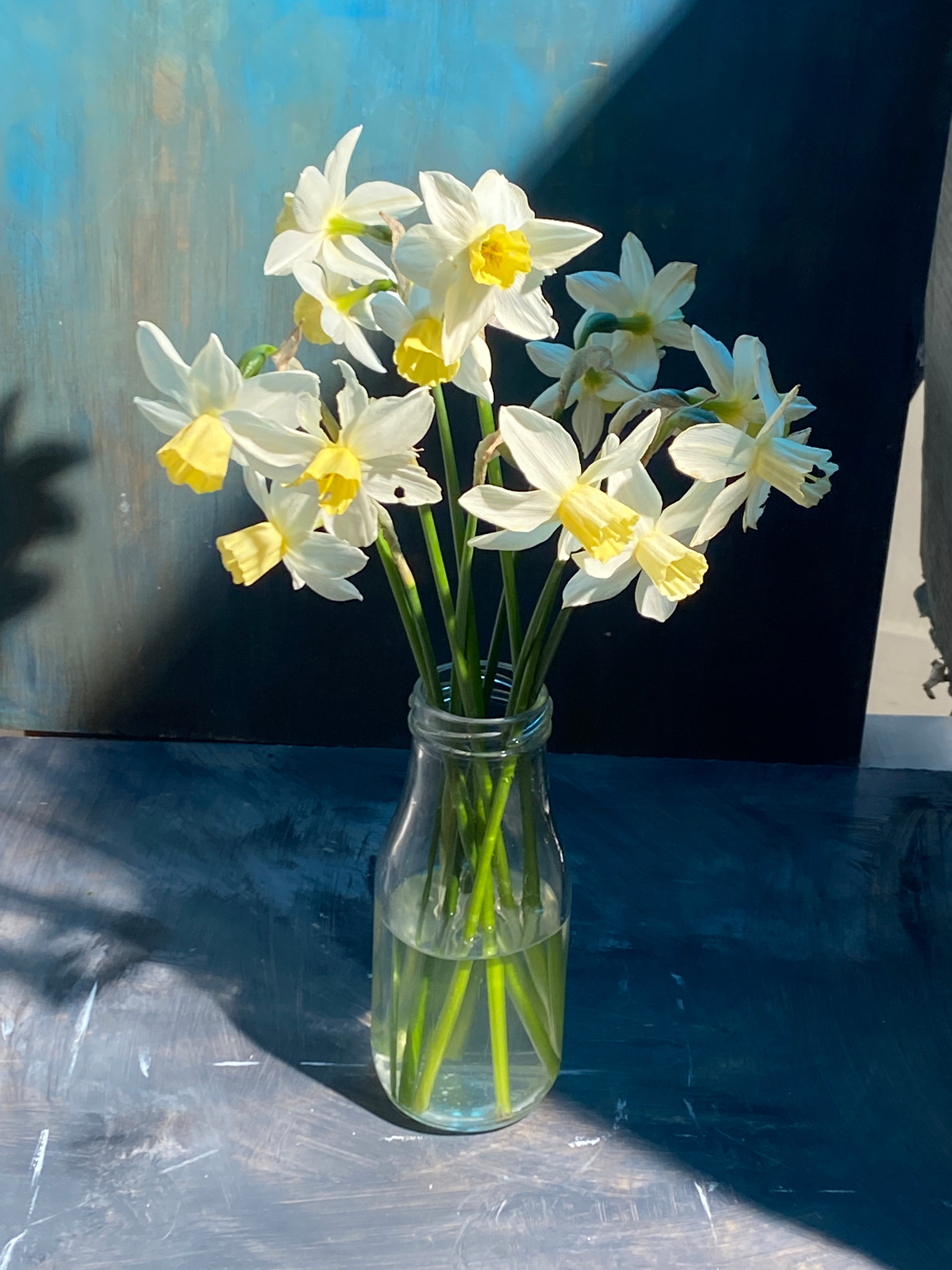 Narcissus - alla prima from life - Alex Kelly Art