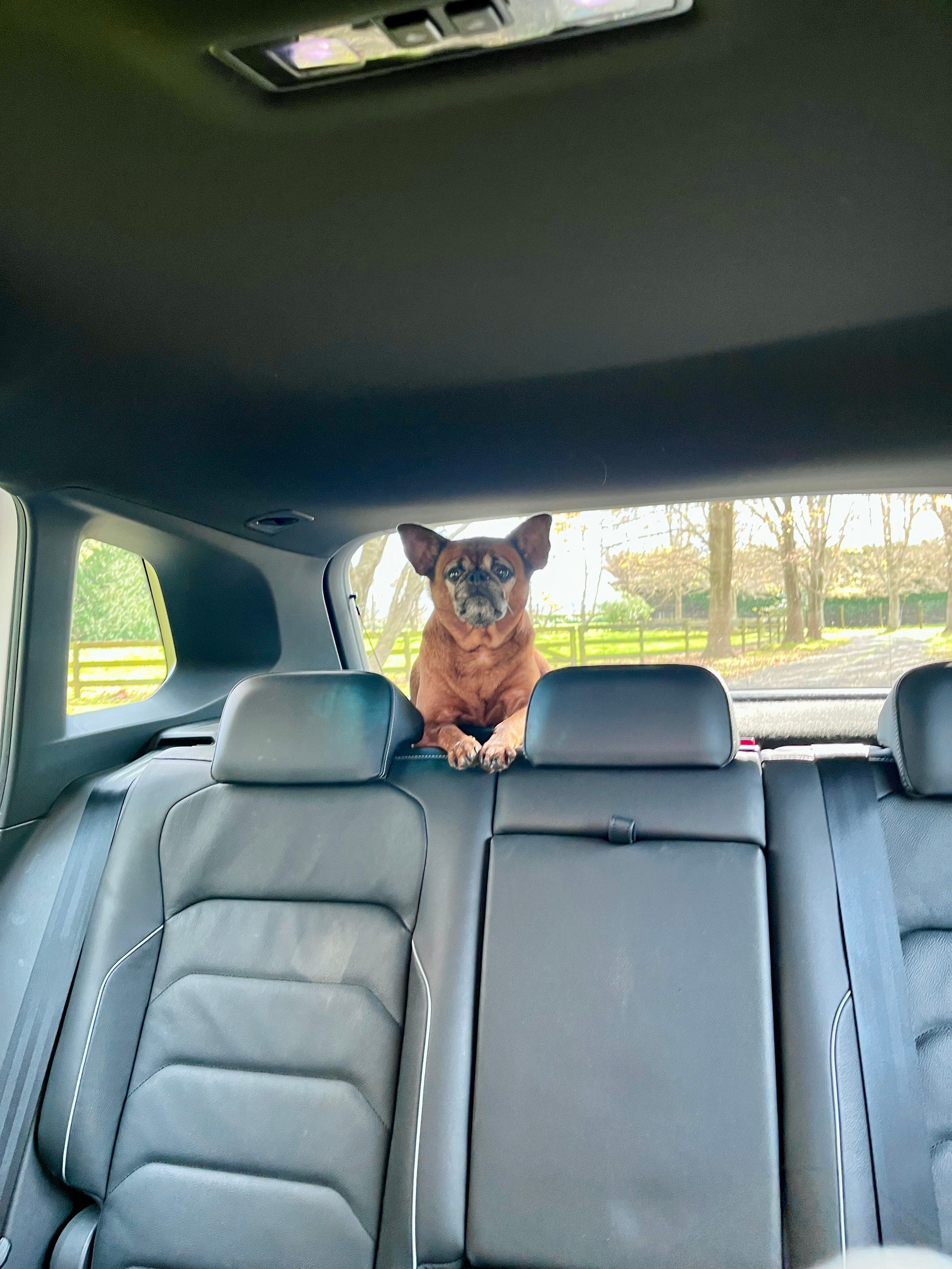 New book out now! - Fiona Ferris Books