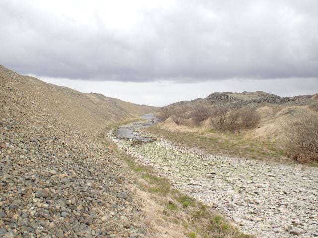 Ancient Water, Modern Ground - Ashley Cowles