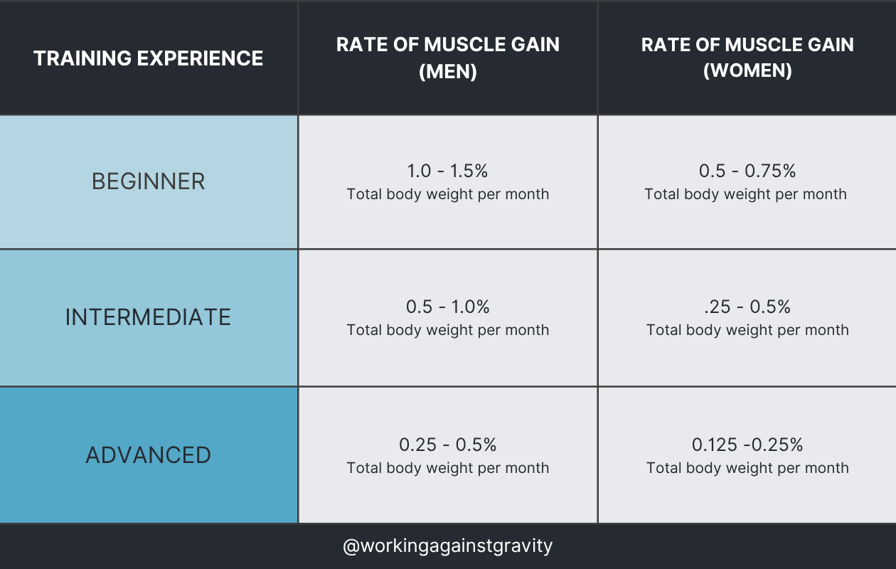 How to Build Muscle Without Gaining Fat - by WAG Nutrition