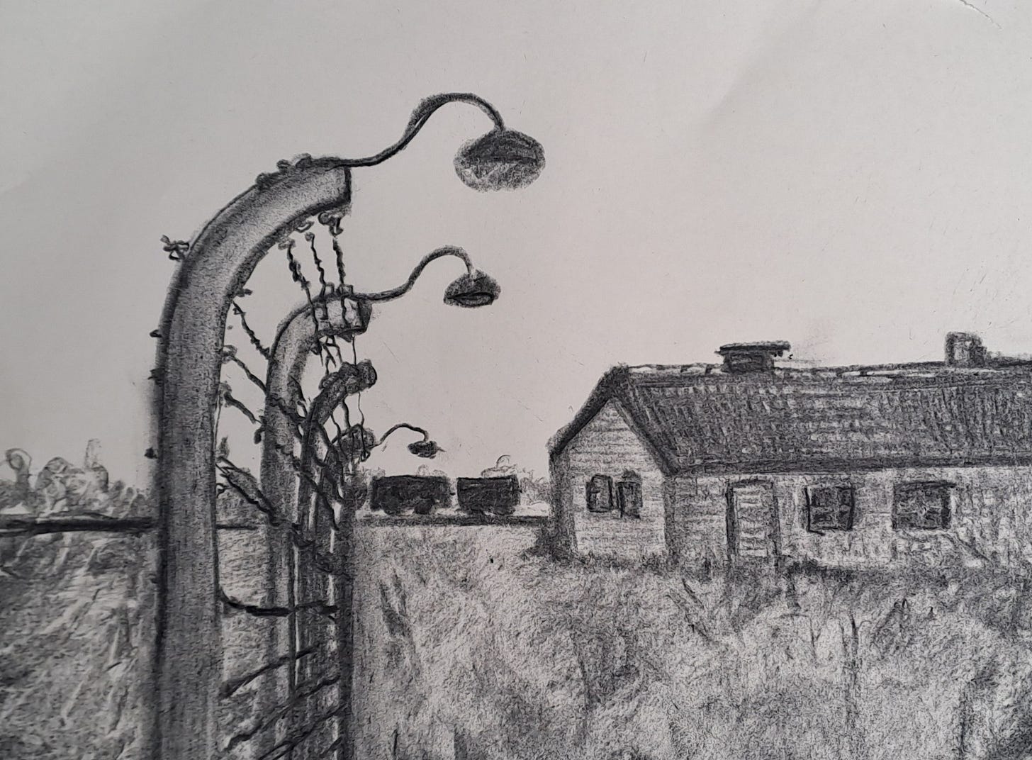 Het leven in de naziconcentratiekampen - Nick van Goor