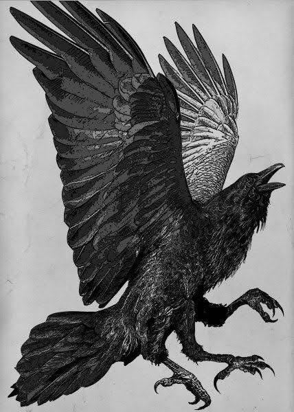 Crows in Japanese Folklore and Culture