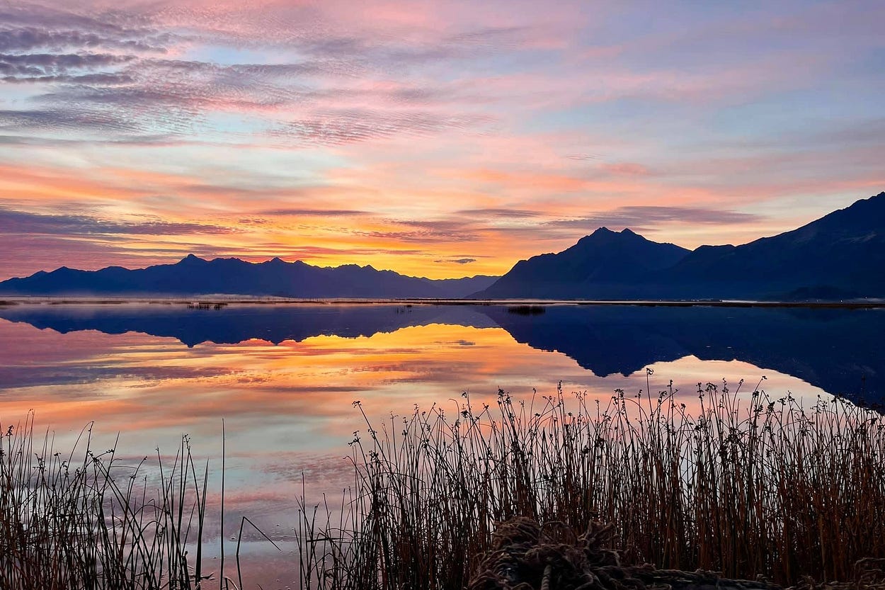 Must Read Alaska | Substack