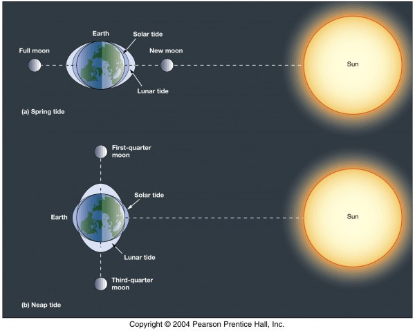 Tides & Tidal Flow explained for Sea Swimmers