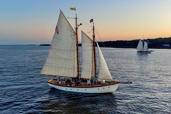 The BHR Group Digital Rights Careers Newsletter | Substack