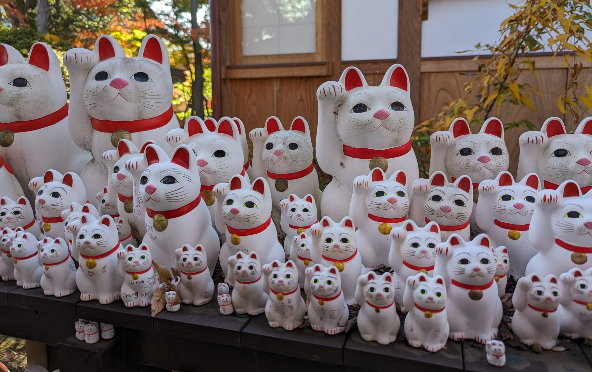 Cats in Japanese Folklore and Culture