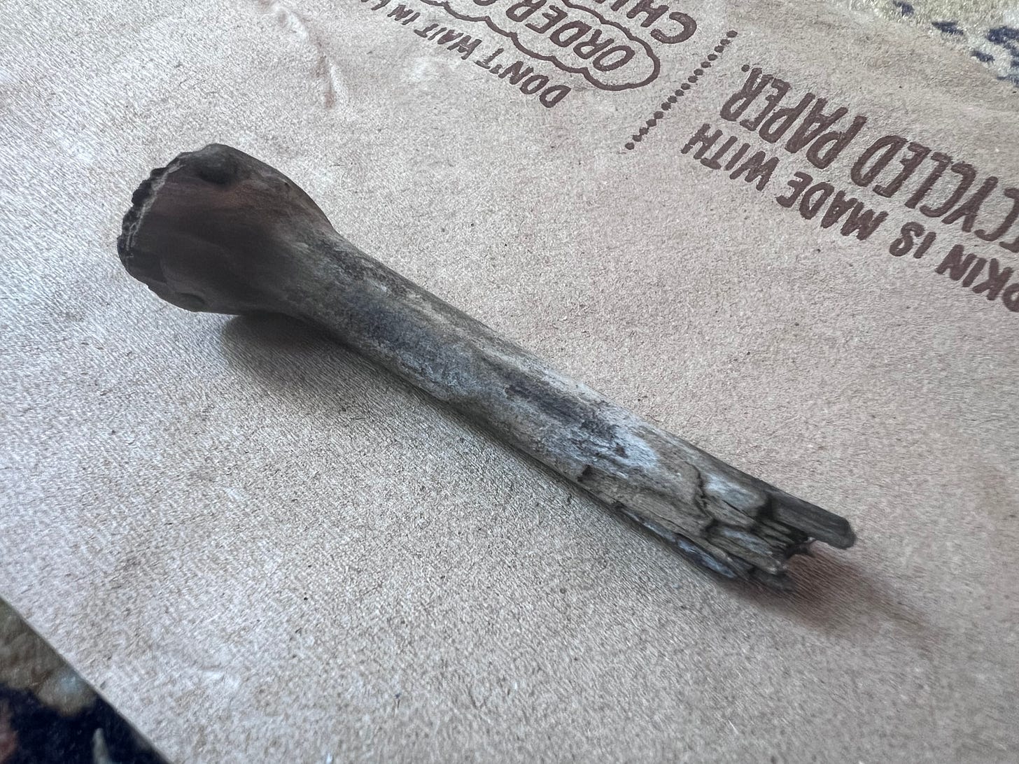 Lost and Found – Objects Adrift: Art in the Found