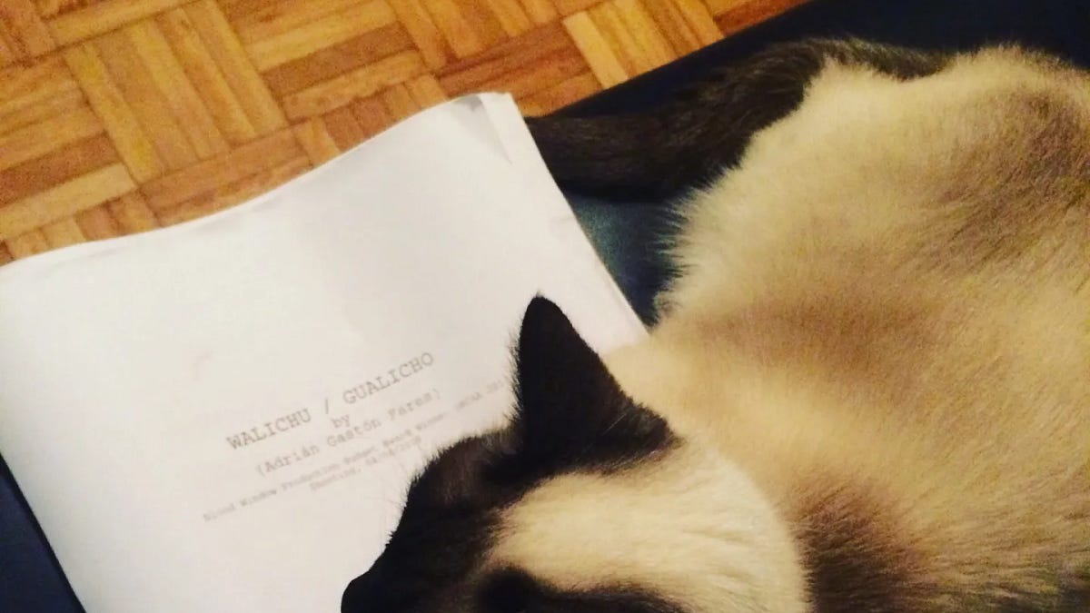 How to Write a Screenplay in the 21st Century (and the 22nd, Too)