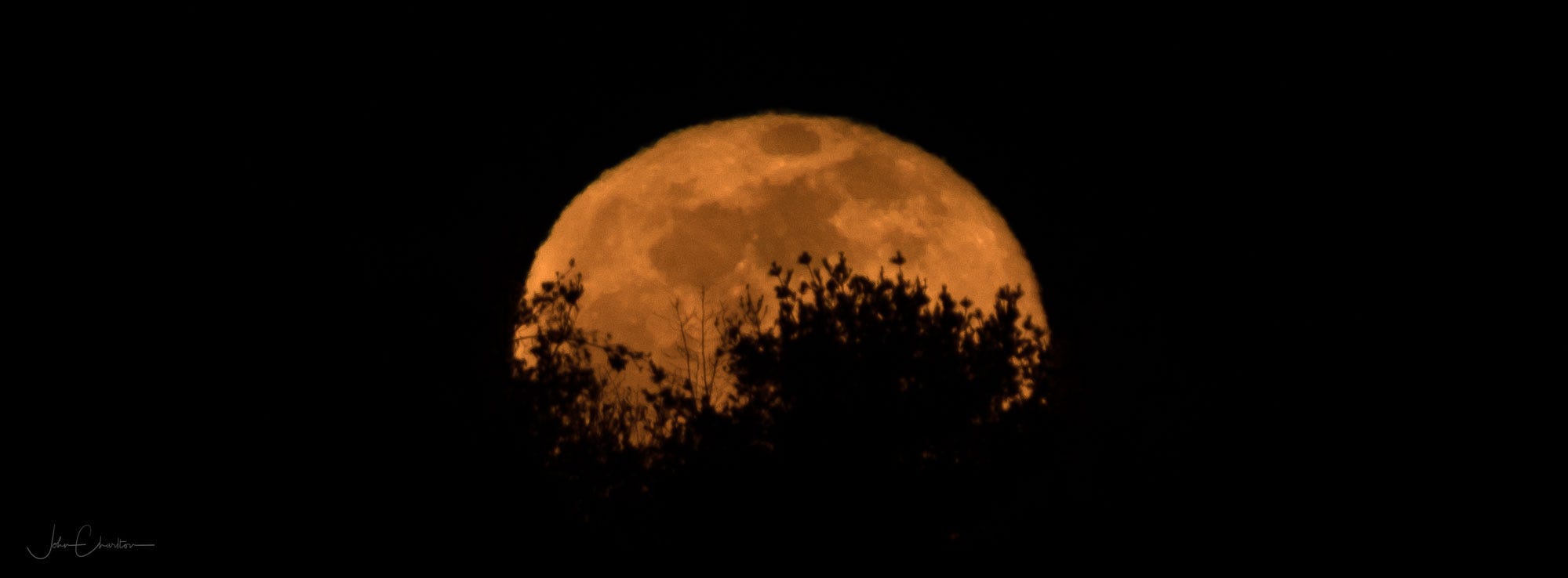The Sap Moon - by John Charlton - My Photo Journal