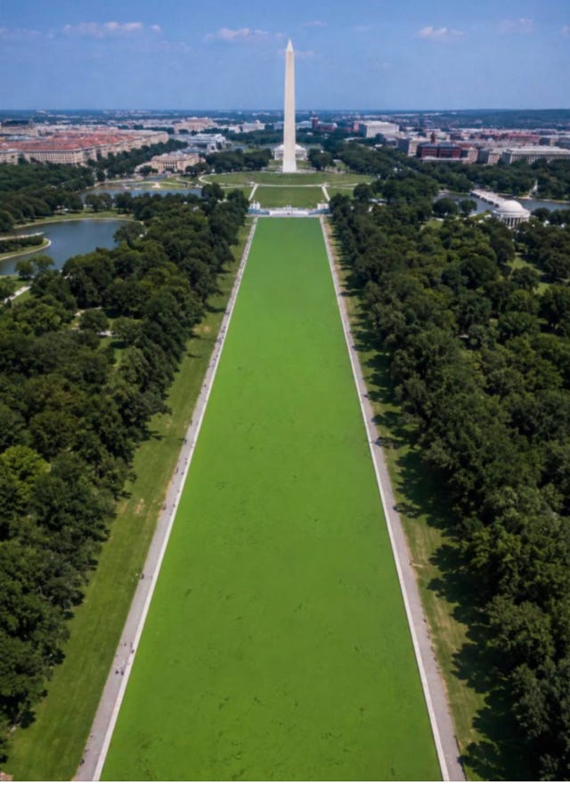 The 22 Best Reflecting Pool Memes - A Sunday Night Special