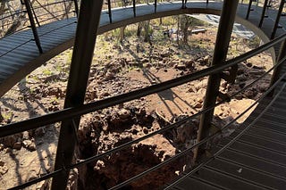 John Hawks | Substack