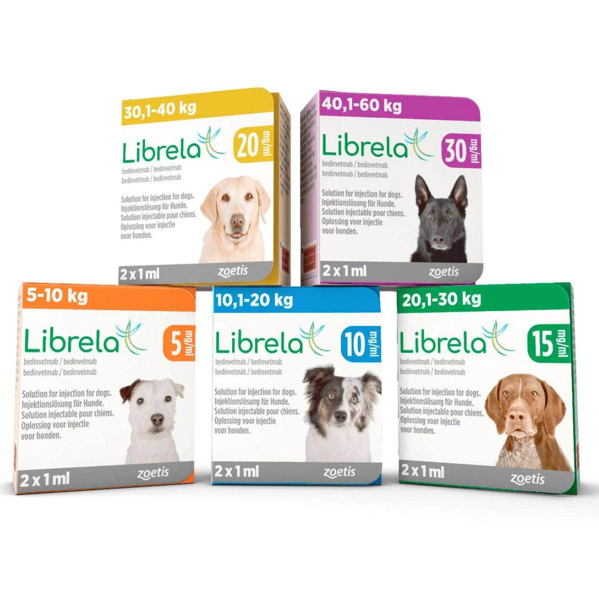 Beyond the Hype: An Honest Look at Librela for Canine Arthritis