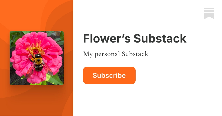 Before the after - Flower’s Substack