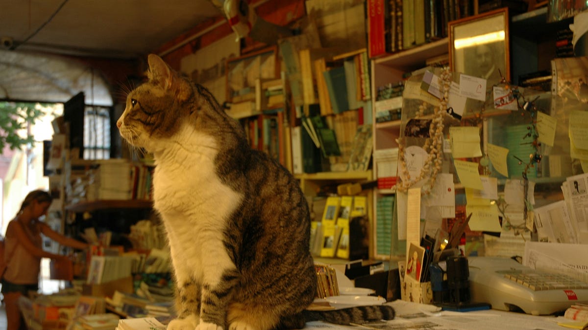 A Purr-Plexing Mystery: A Cozy Bookstore Cat Detective Story