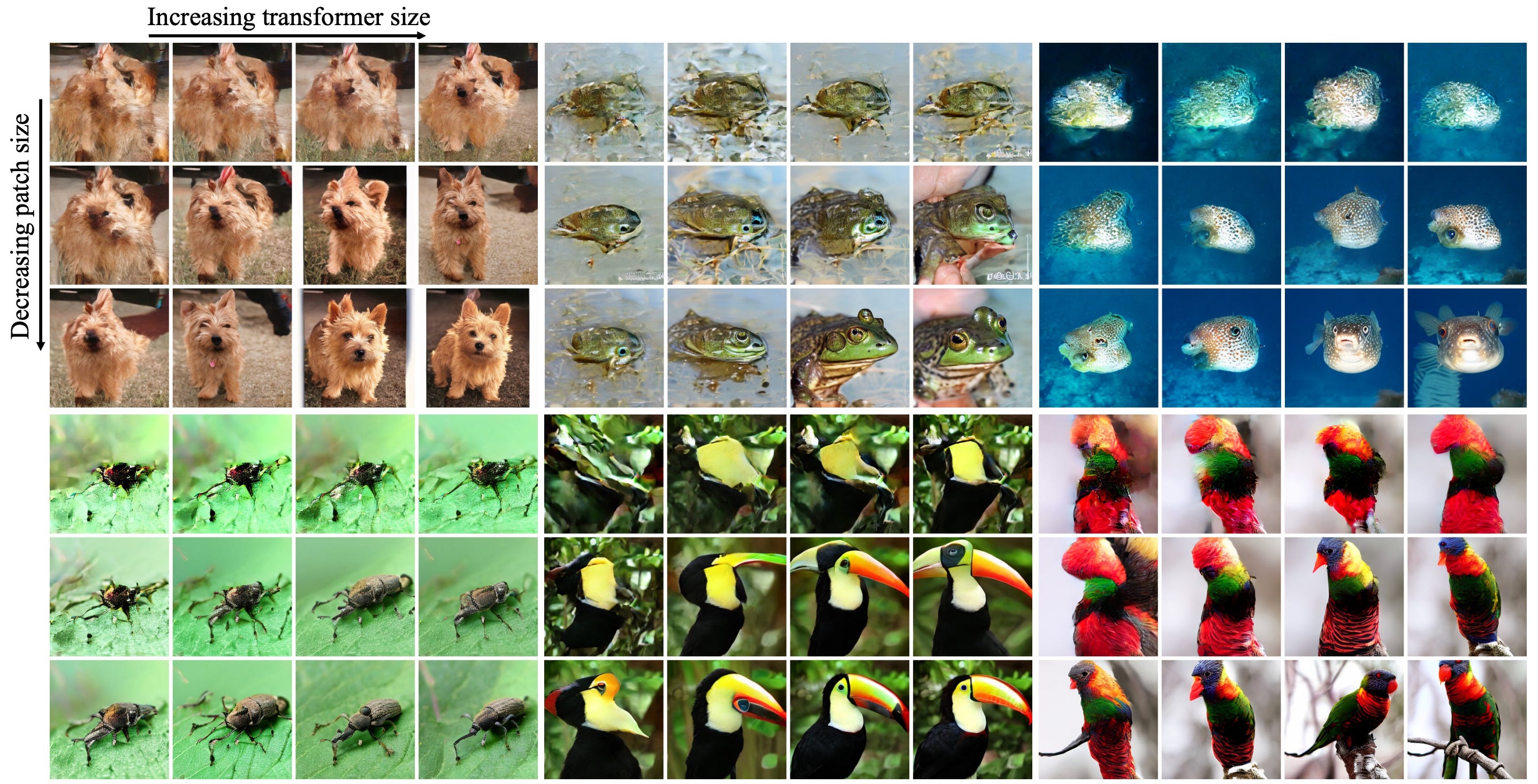 47. DiT: Diffusion Transformer - by Massimiliano Viola
