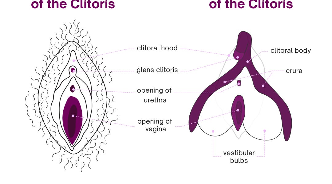 clitorodynia how long does it last