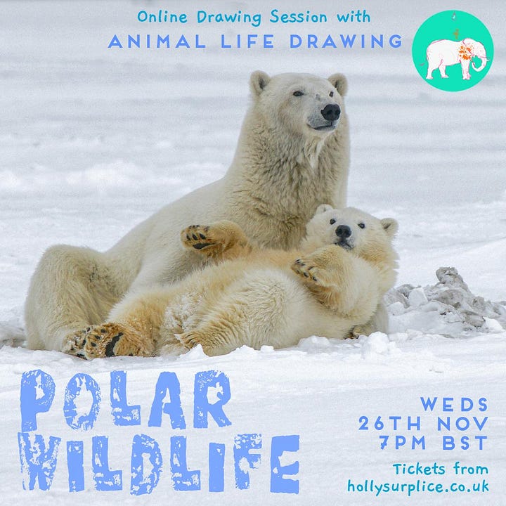 Wild (drawing) Exercises TODAY! - by Holly Surplice