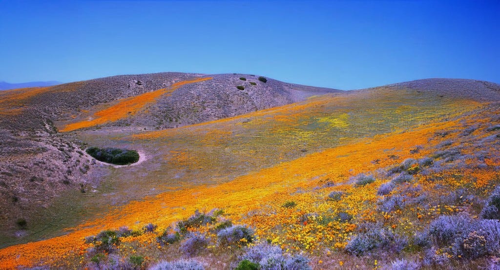A Drive Through Tejon Pass is a Journey Through Time, Terrain, and ...