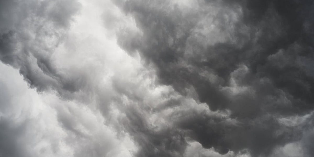 The Grey - Marla Elizabeth's Substack