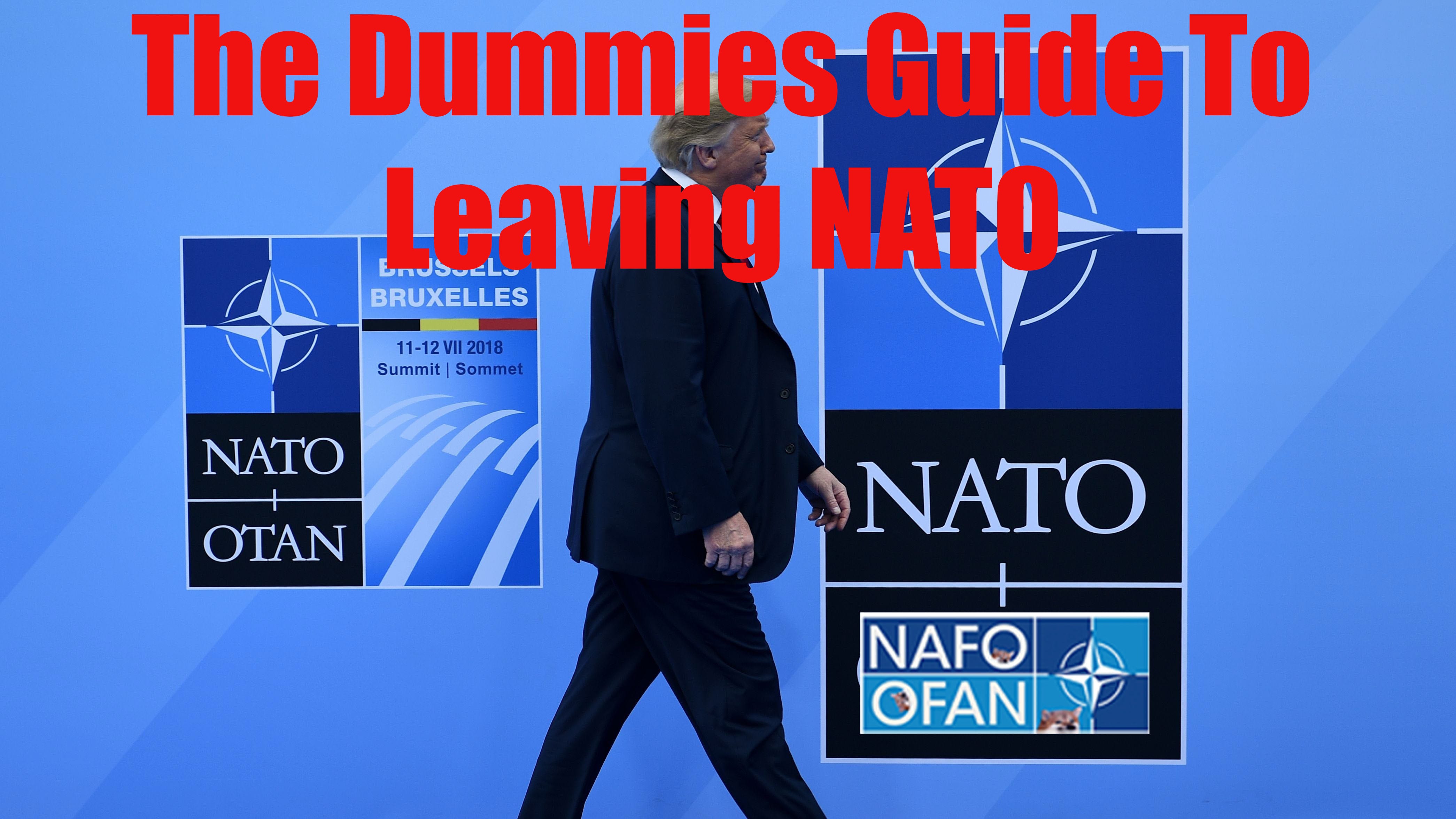 The Dummies Guide to leaving NATO - by Beefeater Fella