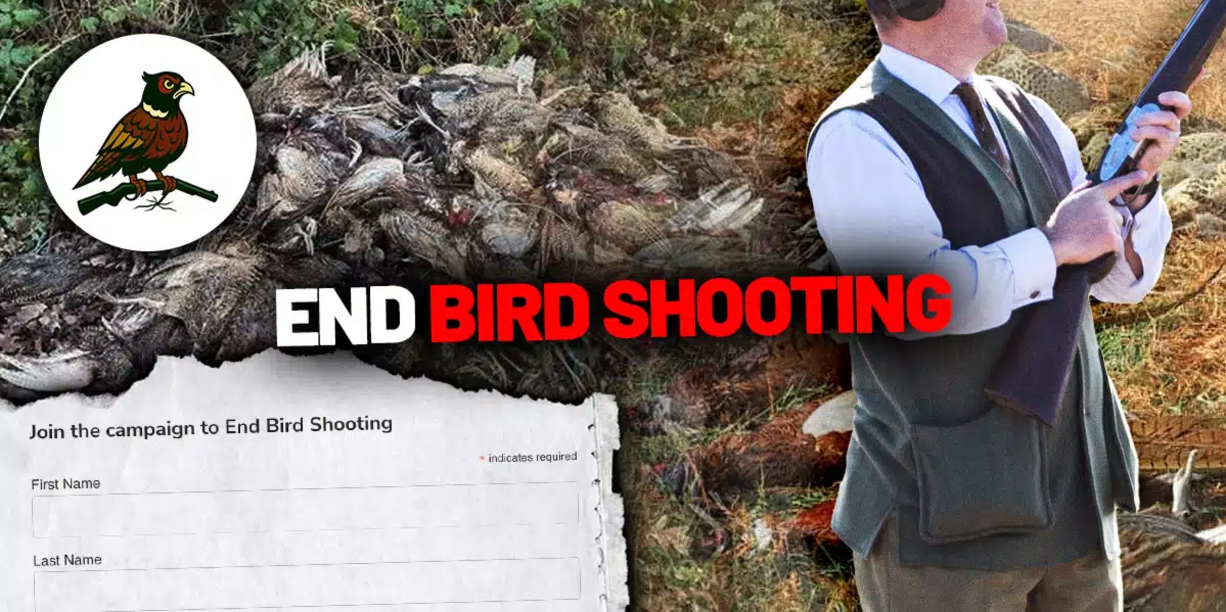 End Bird Shooting! A call to action from our founder