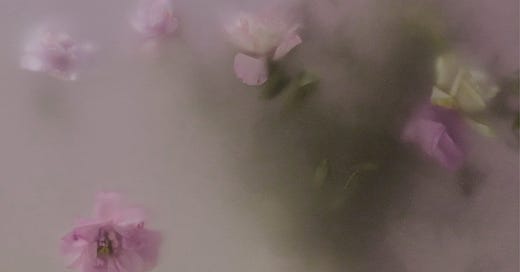 SARAH PROUT | Substack