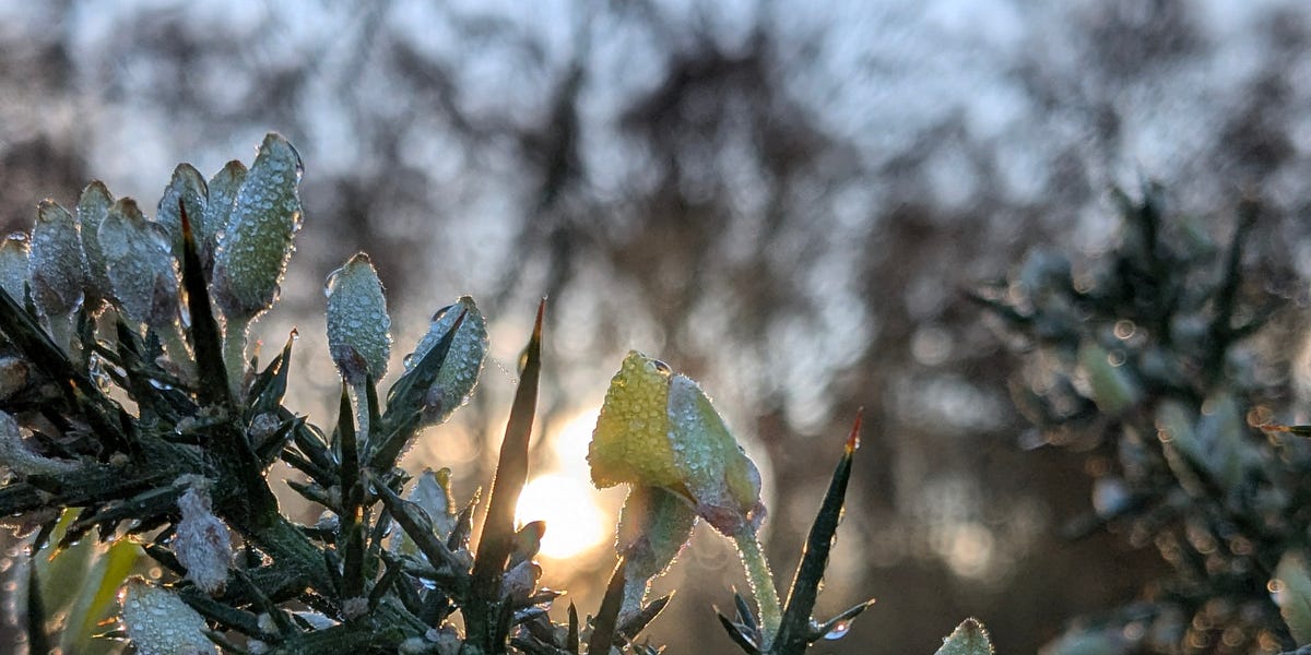 New Moon Before Christmas: Winter Solstice, Stillness and What We Carry ...