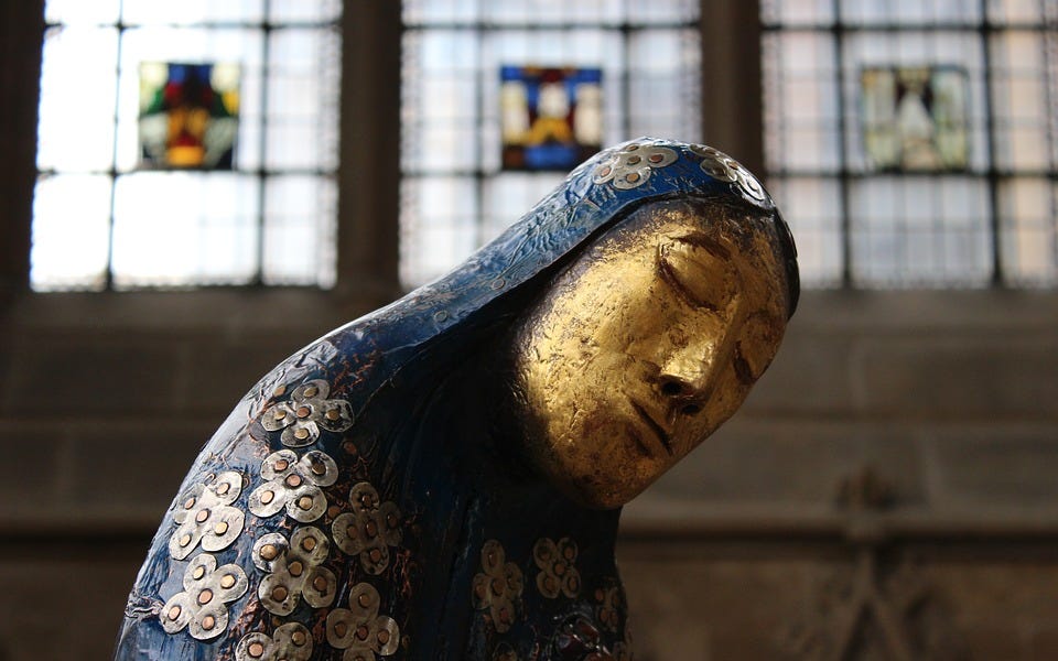 The Immaculate Warmth of Grace - by Fr. Joshua Whitfield