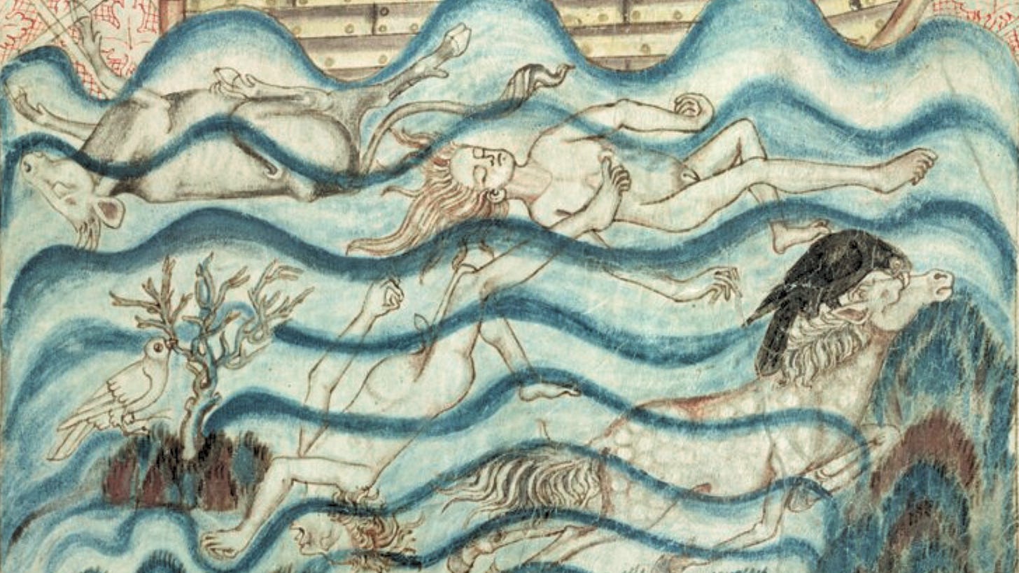 Why did Noah send out a raven, then a dove from the ark?
